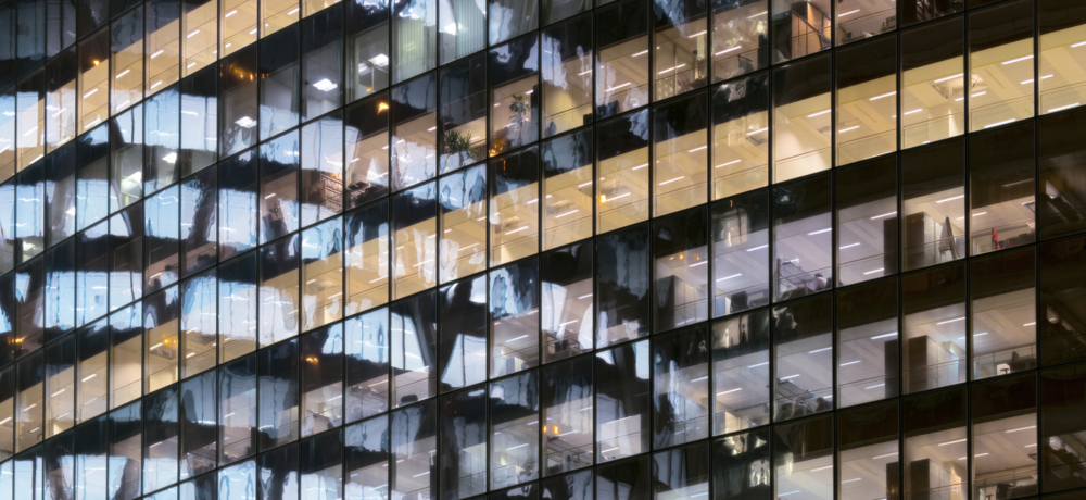 Homepage | Federman Steifman